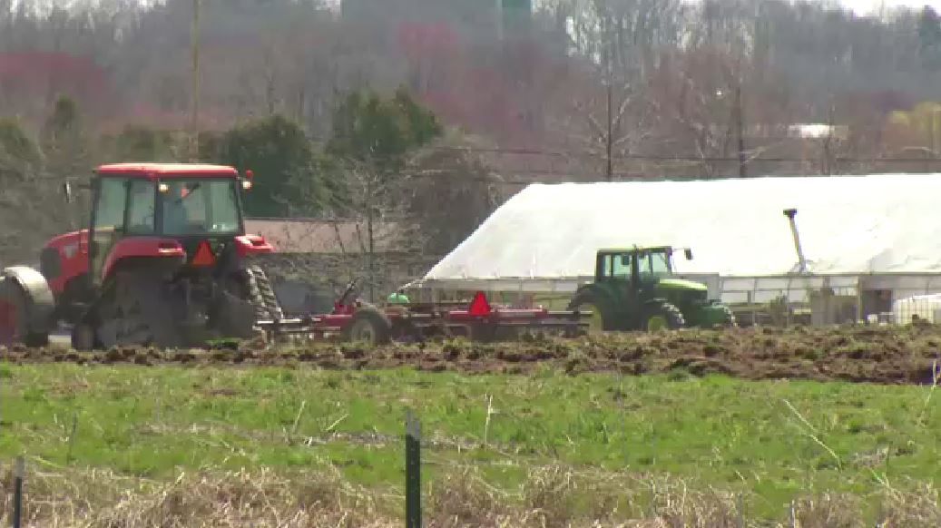 Change in New York Farming