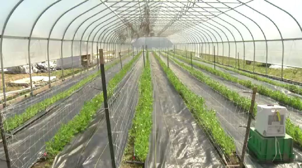 Modern Farming Part 2 New York state