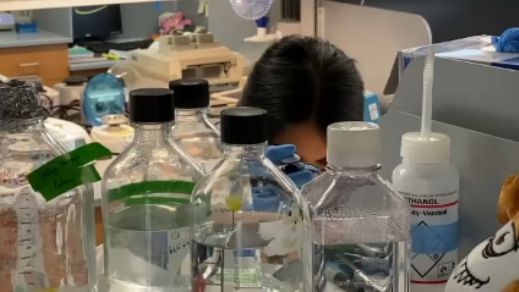 Students studying alongside scientists in Mohawk Valley