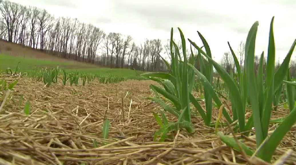 Modern Farming Part 1 New York state