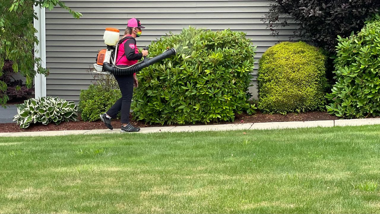 How to keep your property mosquito-free this summer