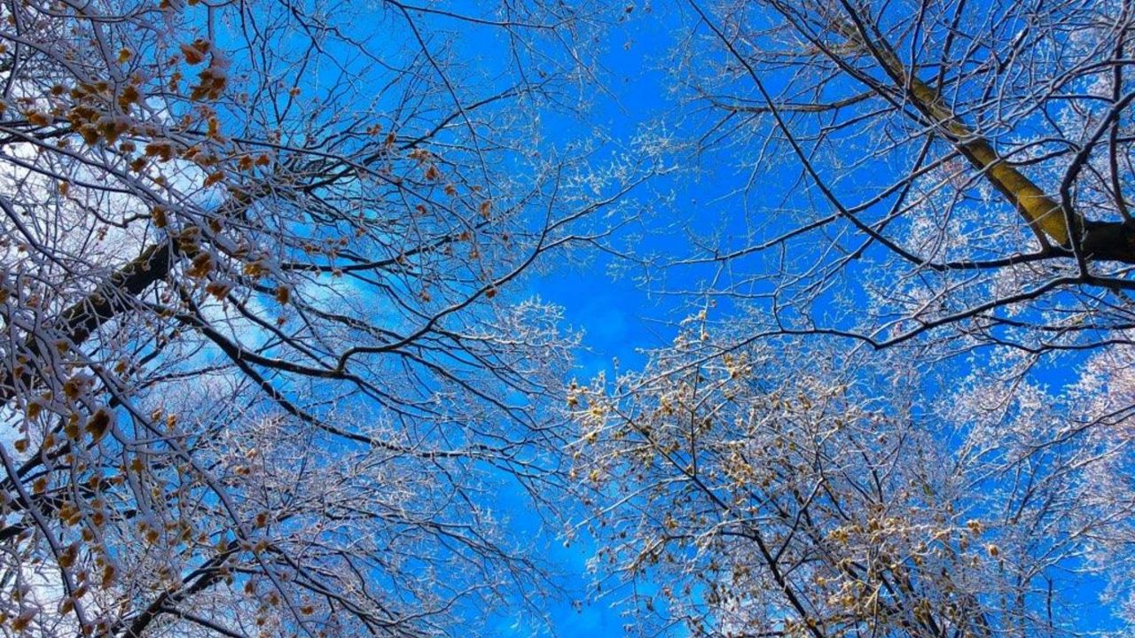 Mild Weather Week Set to Unfold