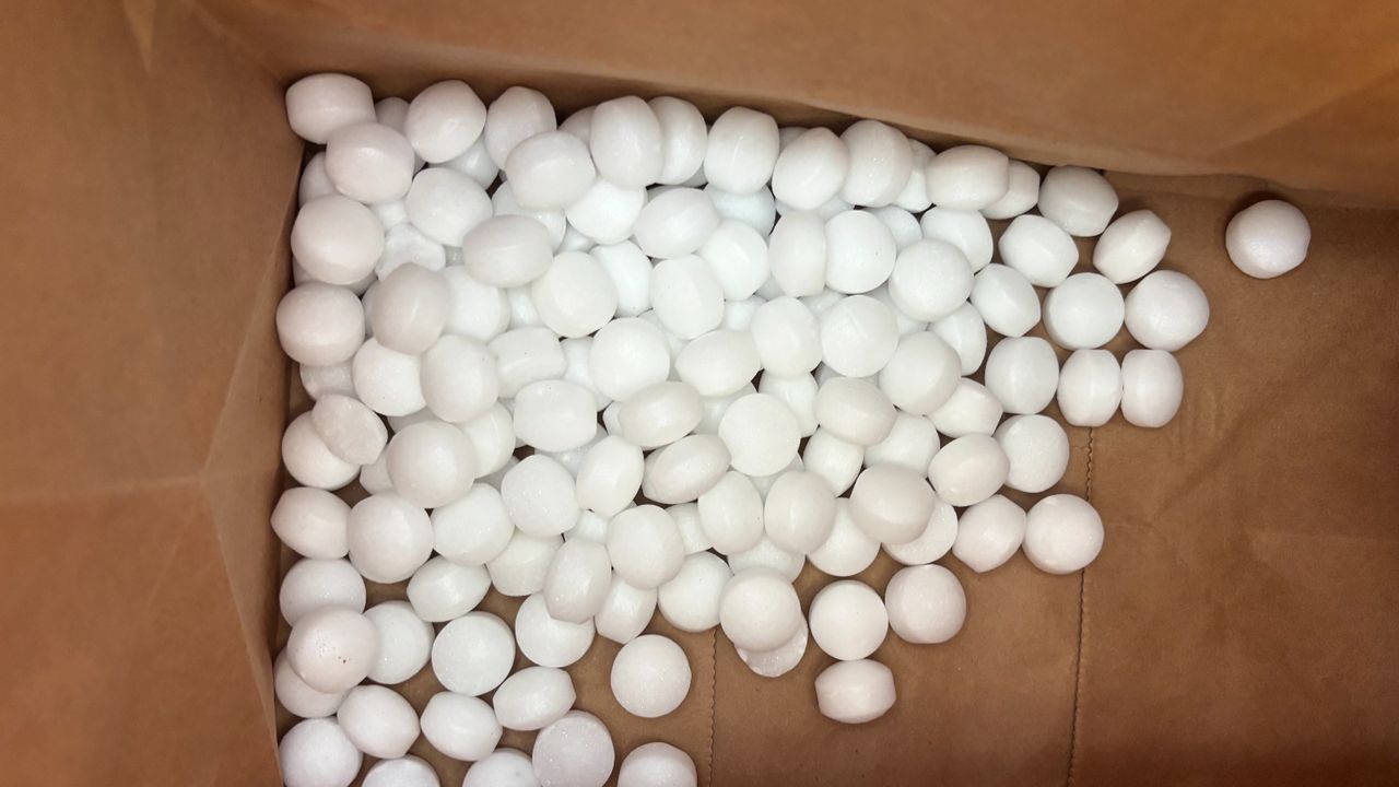 FWC investigating mothballs on St. Pete Beach