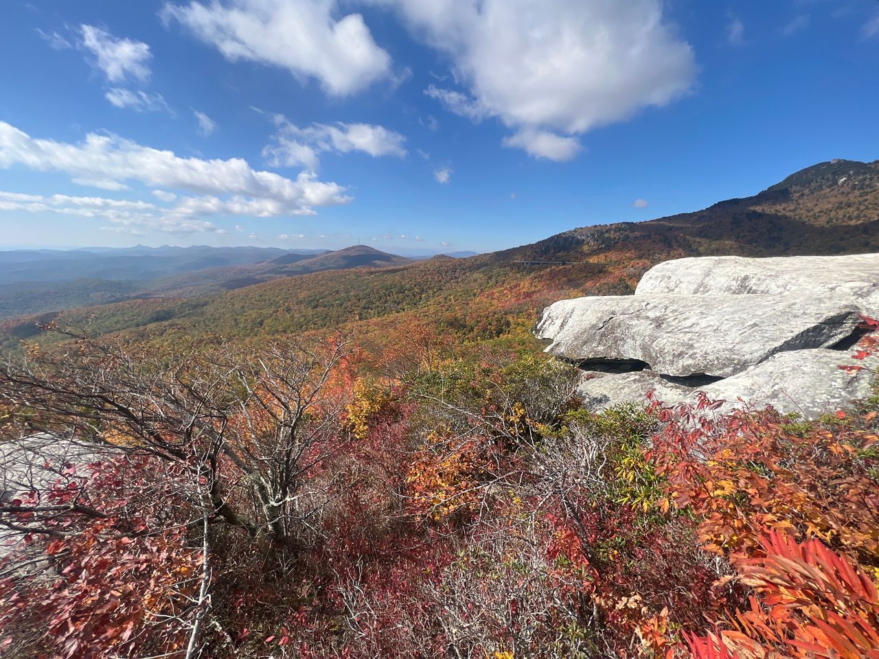 The leaves are peaking in the mountains