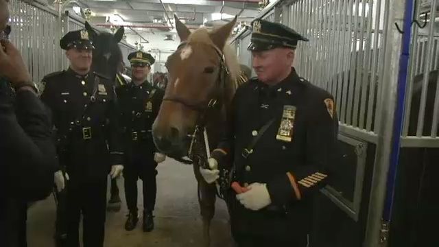 NYPD Celebrates New Mounted Unit Facility