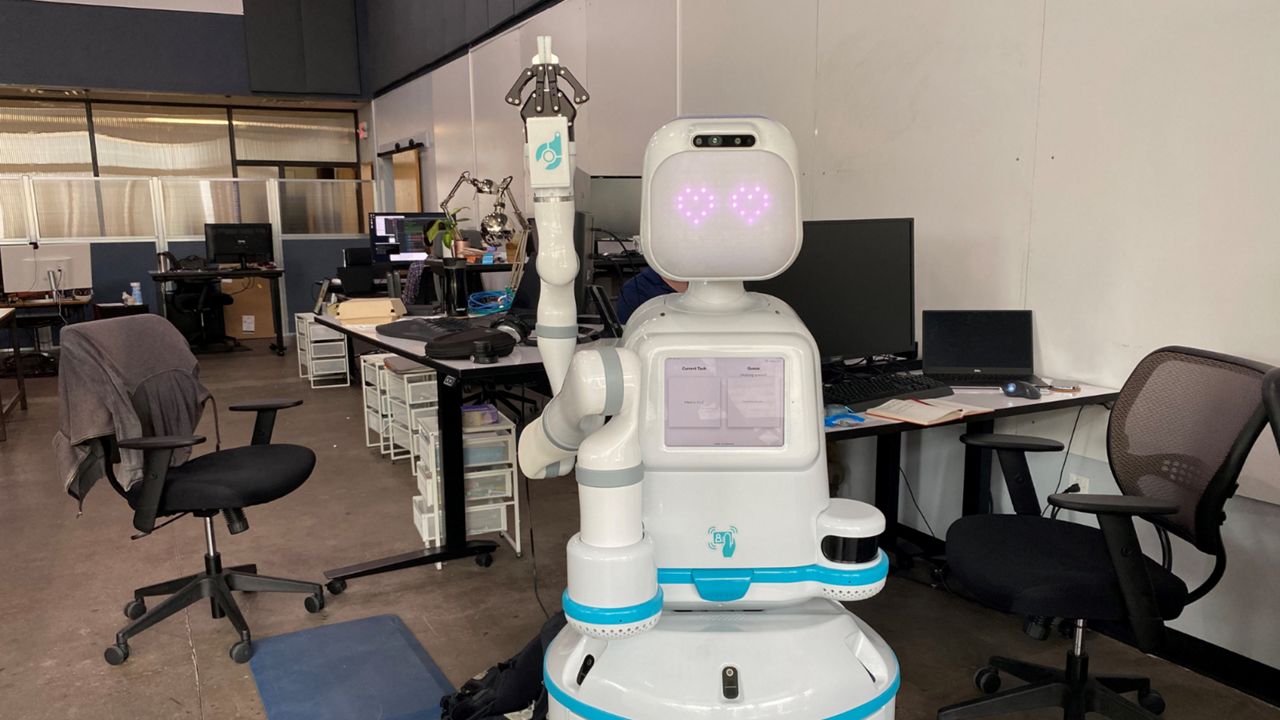 Robotic nurse could be the future of healthcare