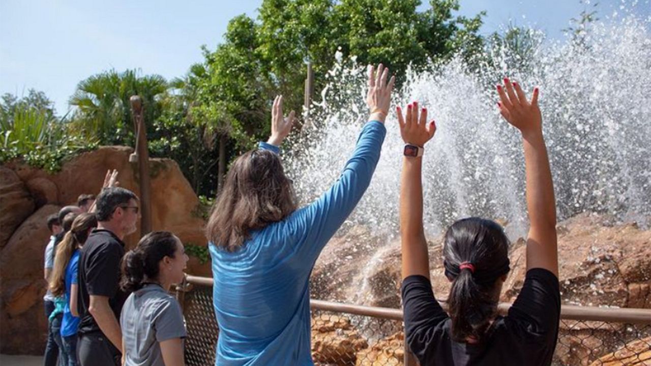 Disney: Imagineers test elements at Moana attraction