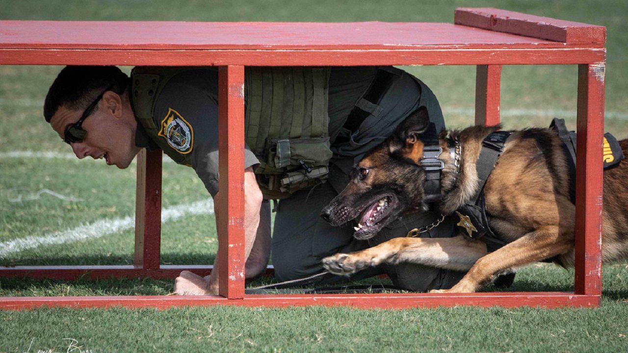 Top K-9 teams on display this weekend in Brevard County