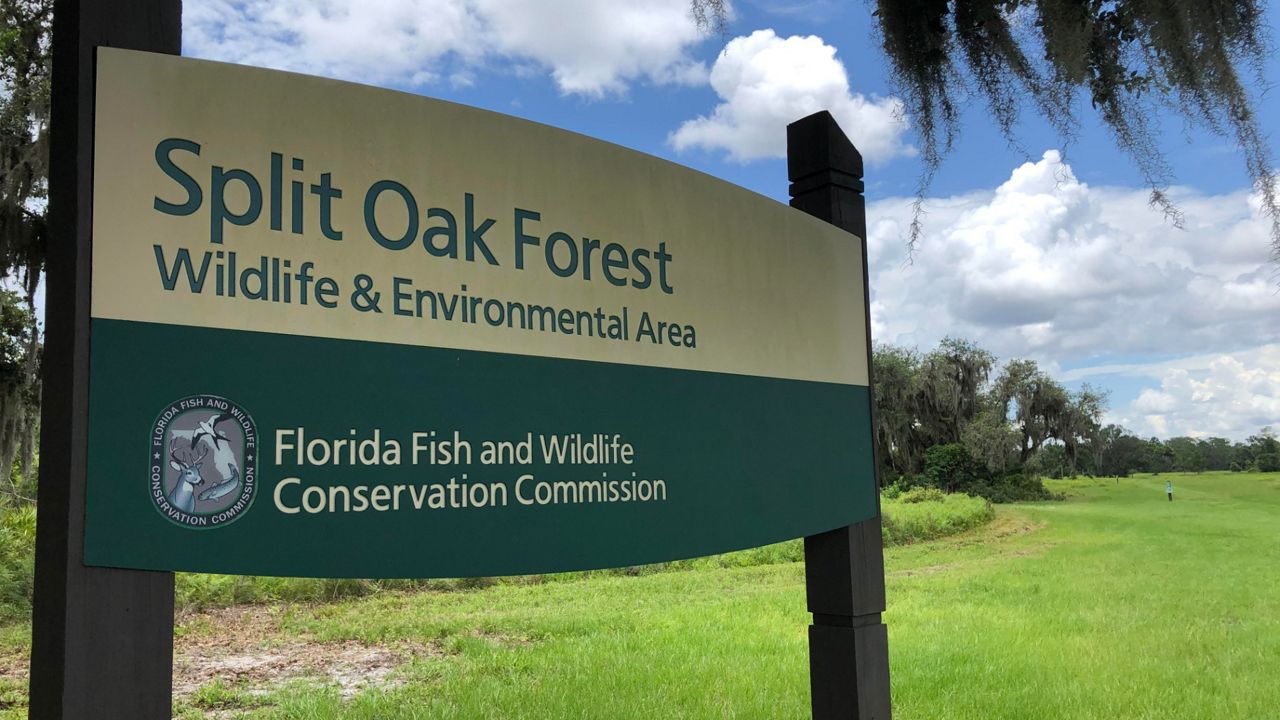 State agency approves road expansion in Split Oak Forest