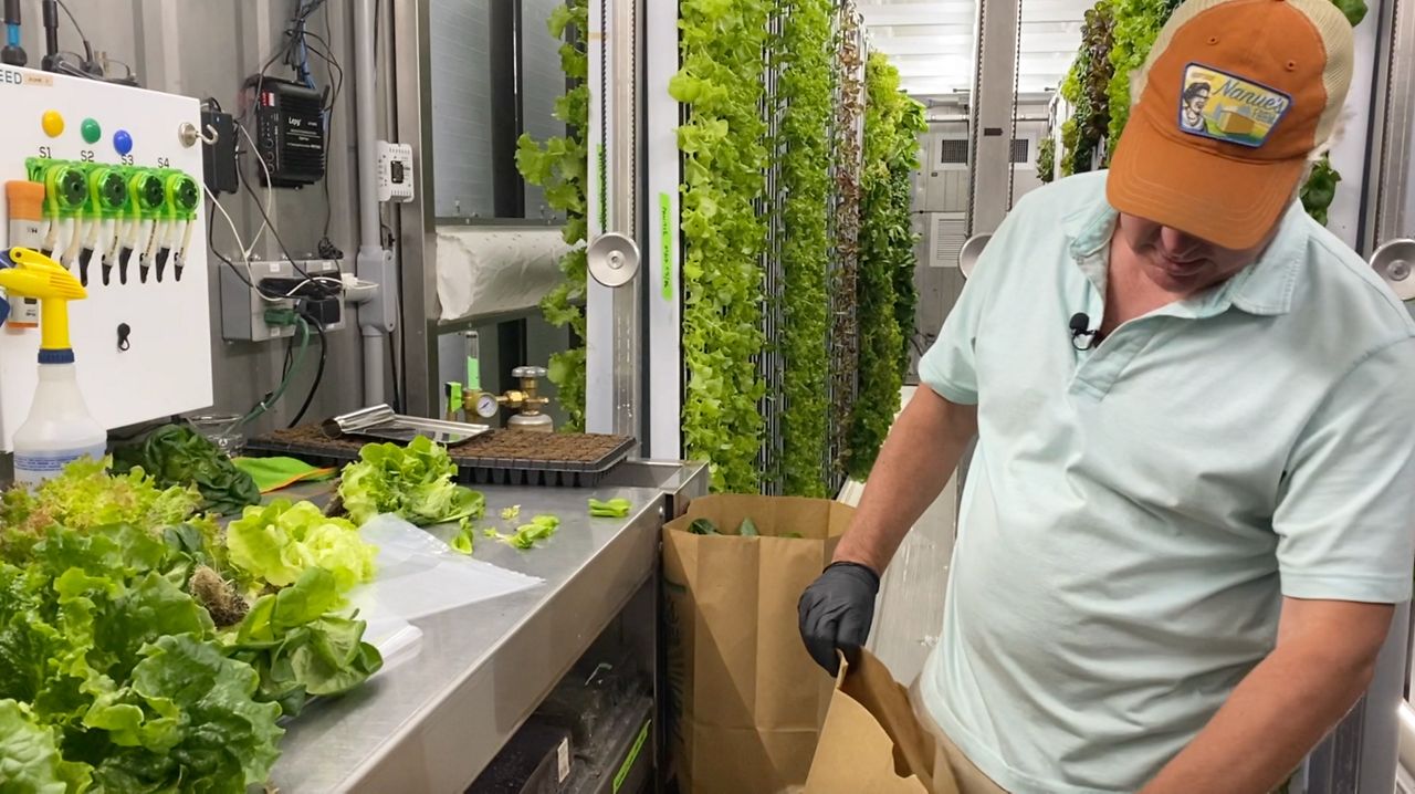 Raleigh shipping container farm uses hydroponic technology