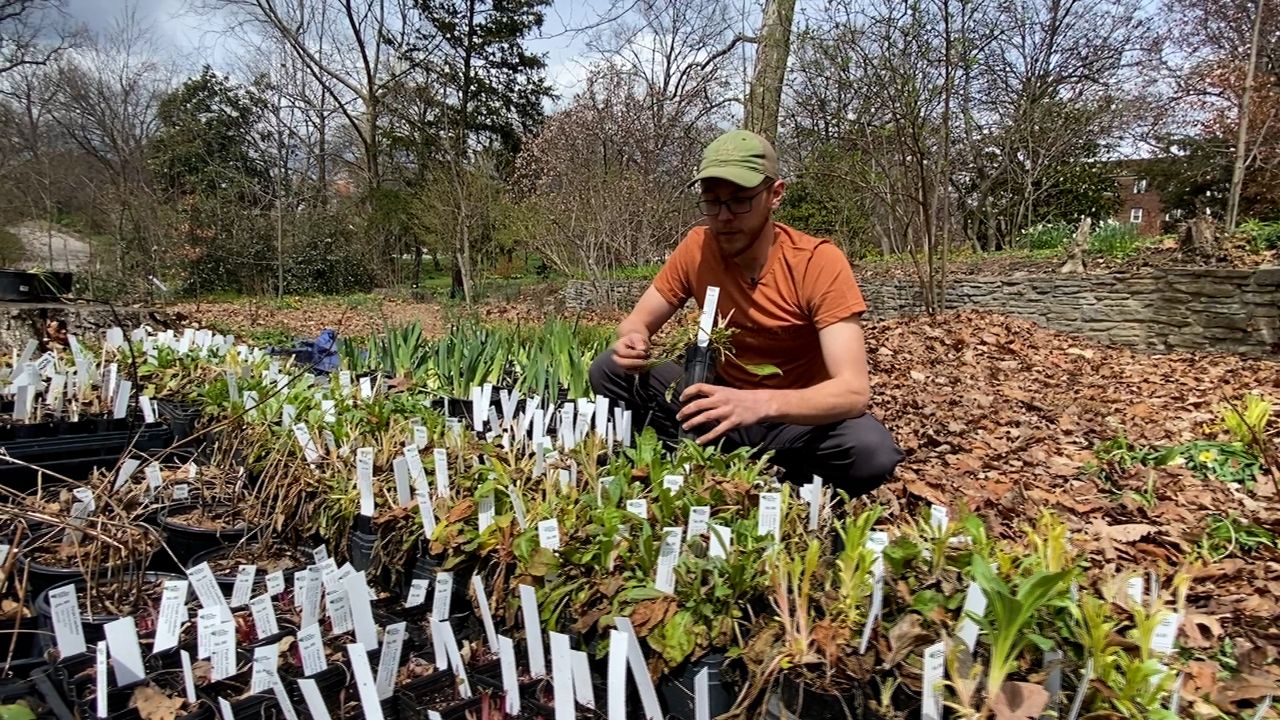 Filling your garden with the plants Ohio knows best