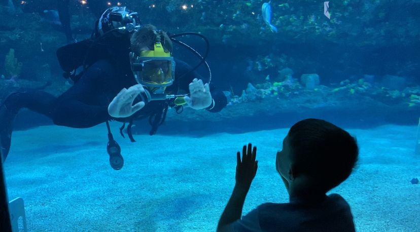 U.S. Navy divers visit Fort Fisher Aquarium
