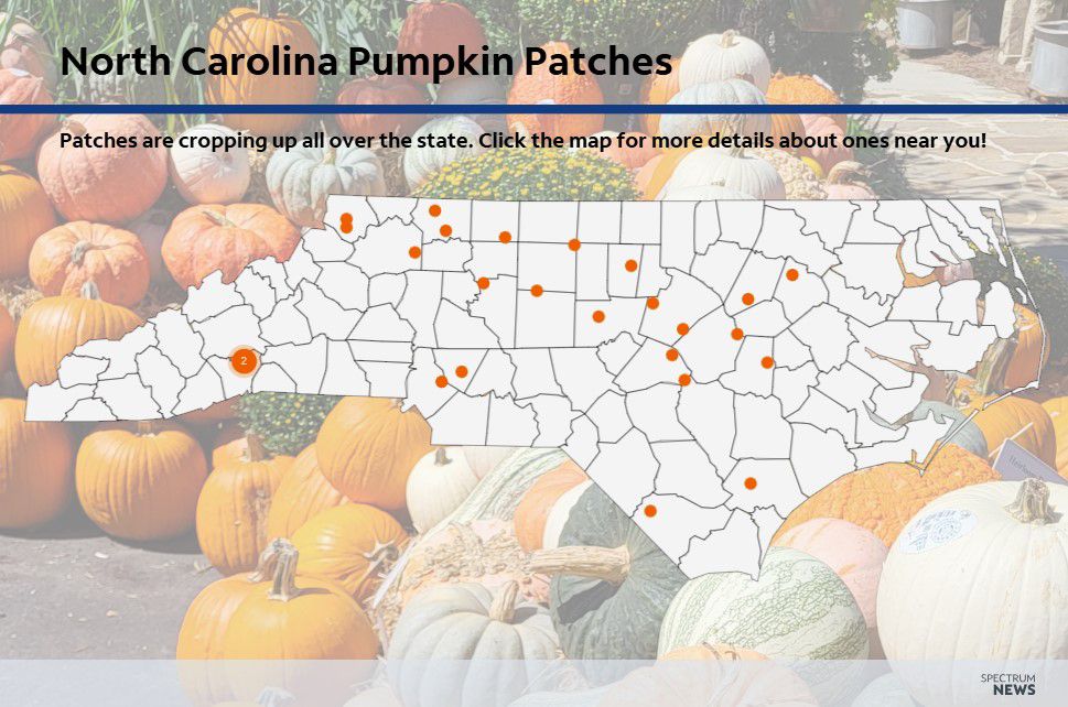This weekend in North Carolina: Pumpkin patches, Panthers