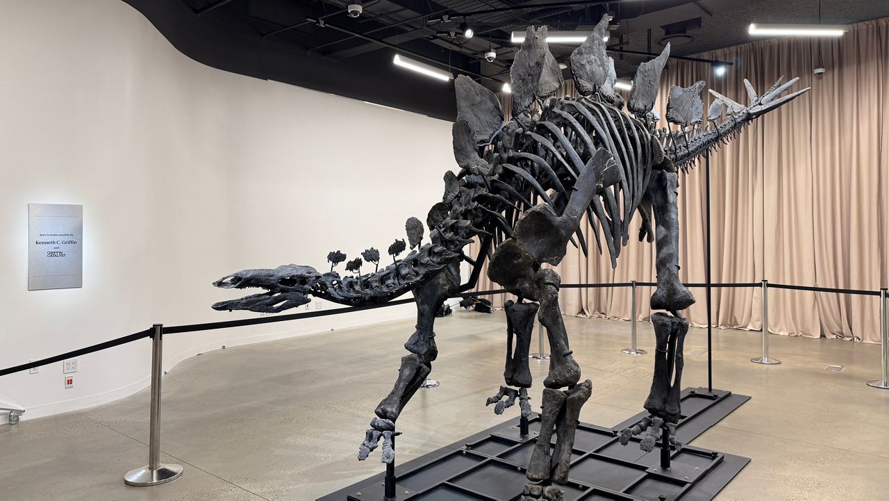 Fossil unveiled at American Museum of Natural History