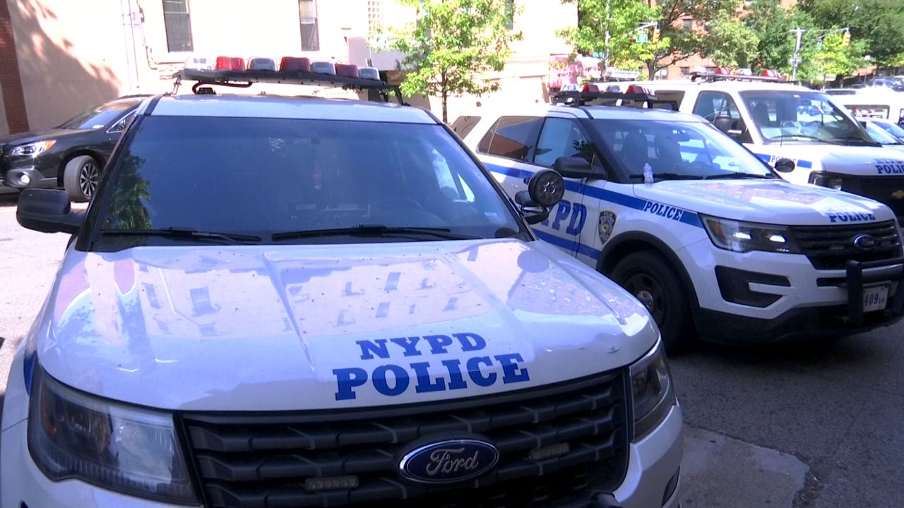 NYC Lawmakers Call for Probe Into Suspected NYPD Slowdown