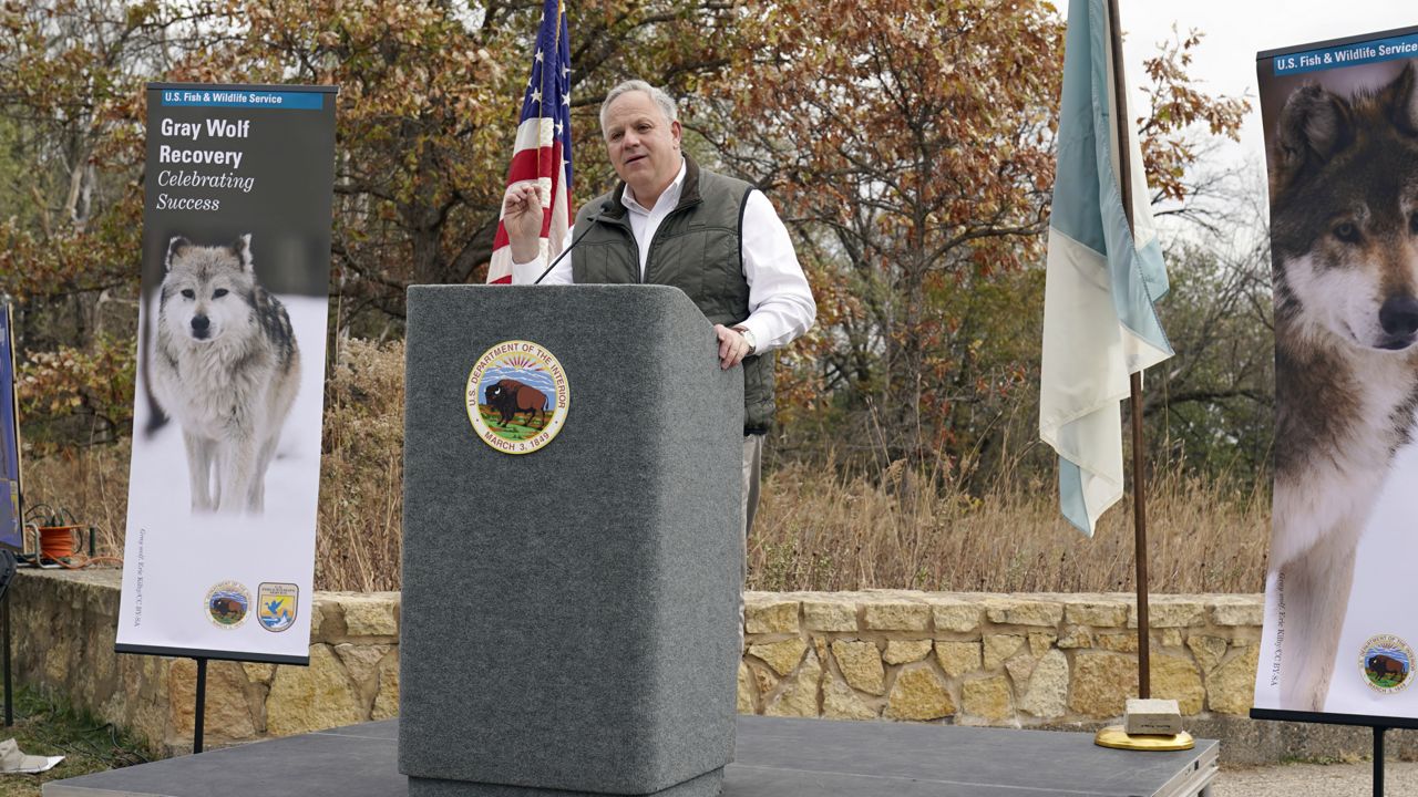 Trump Administration Ends Protections for Gray Wolves