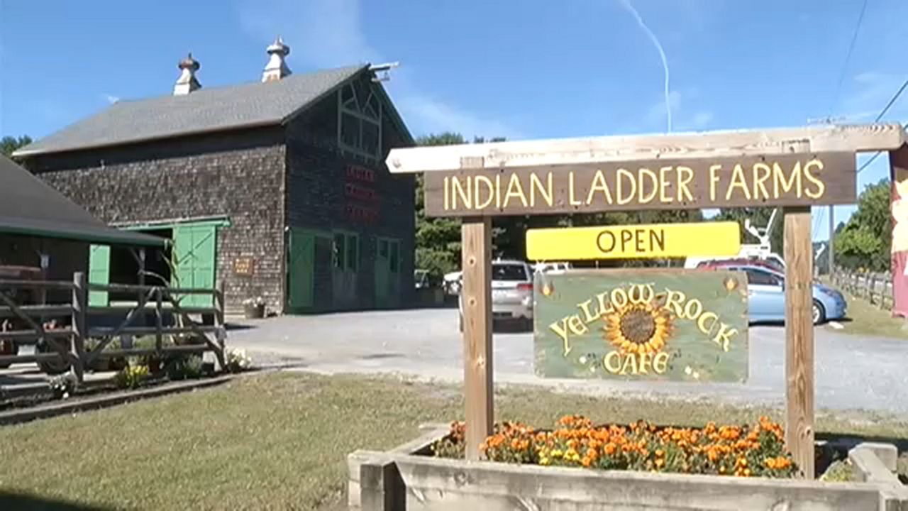 Indian Ladder Farms Perfect for Families