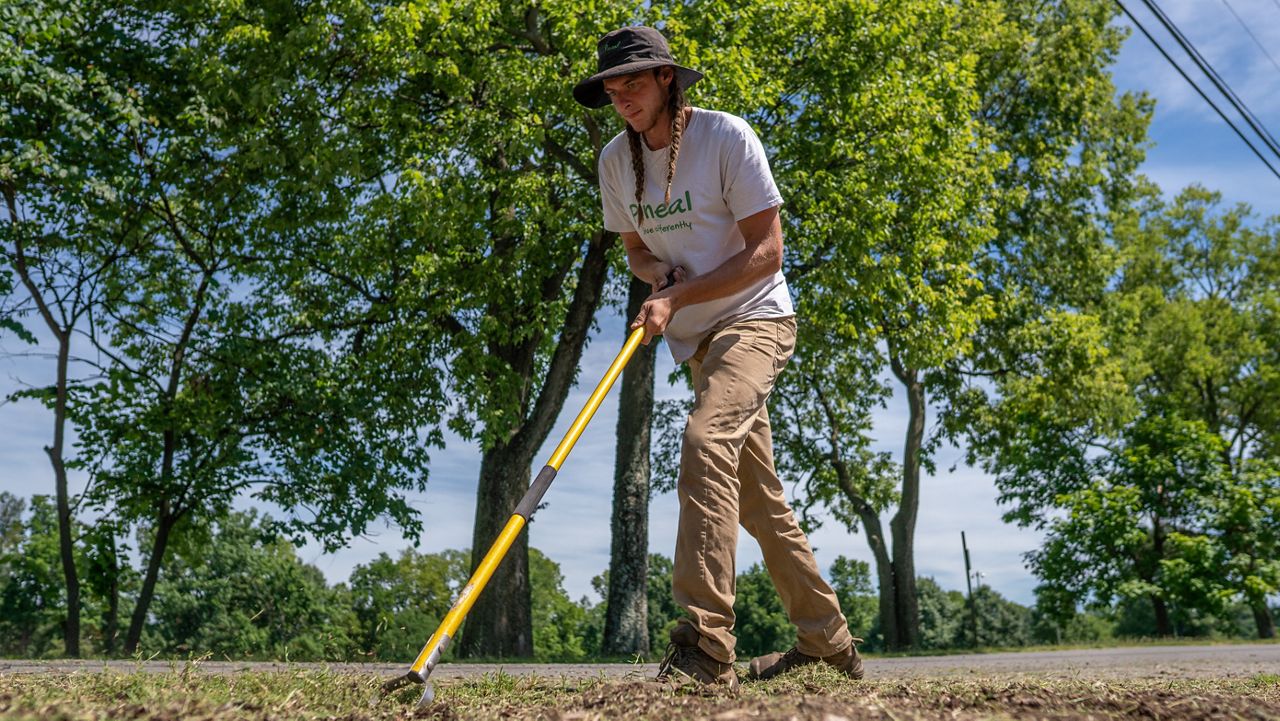 Plant trade stations foster community, sustainability