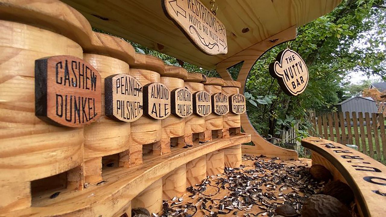 The Nutty Bar Offers Nuts on Tap for Neighborhood Squirrels