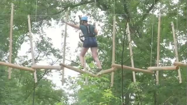 New Bronx Zoo Exhibits Puts Visitors Among the Treetops