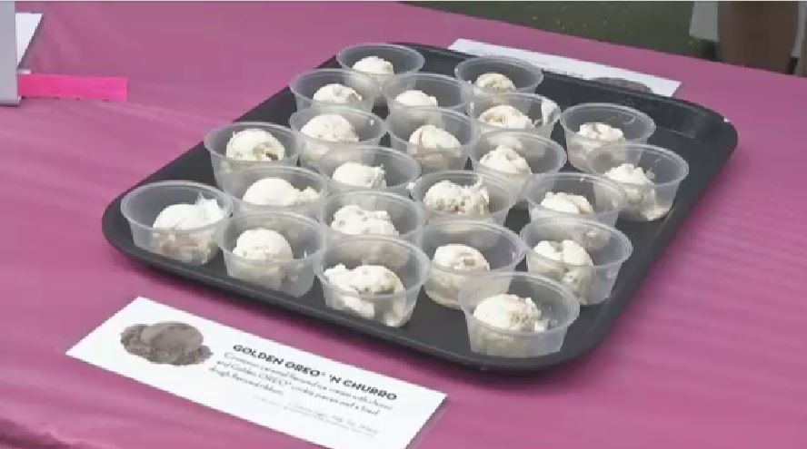 $25 Ice Cream Tastes Like Victory, Charity at NYC Scooper Bowl