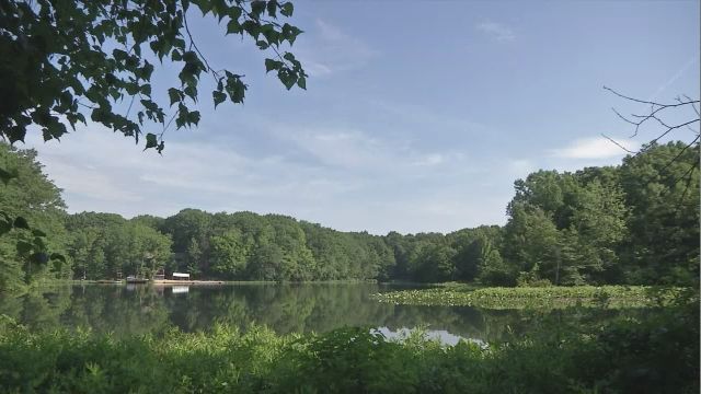 Staten Island Park Offers Tranquil Alternative to Concrete Jungle