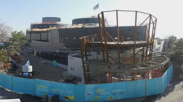 New York Aquarium Swims Through Memories of Shark Exhibit Construction