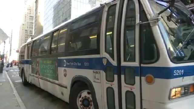 New city transit leader says Bus Action Plan needed to speed things up