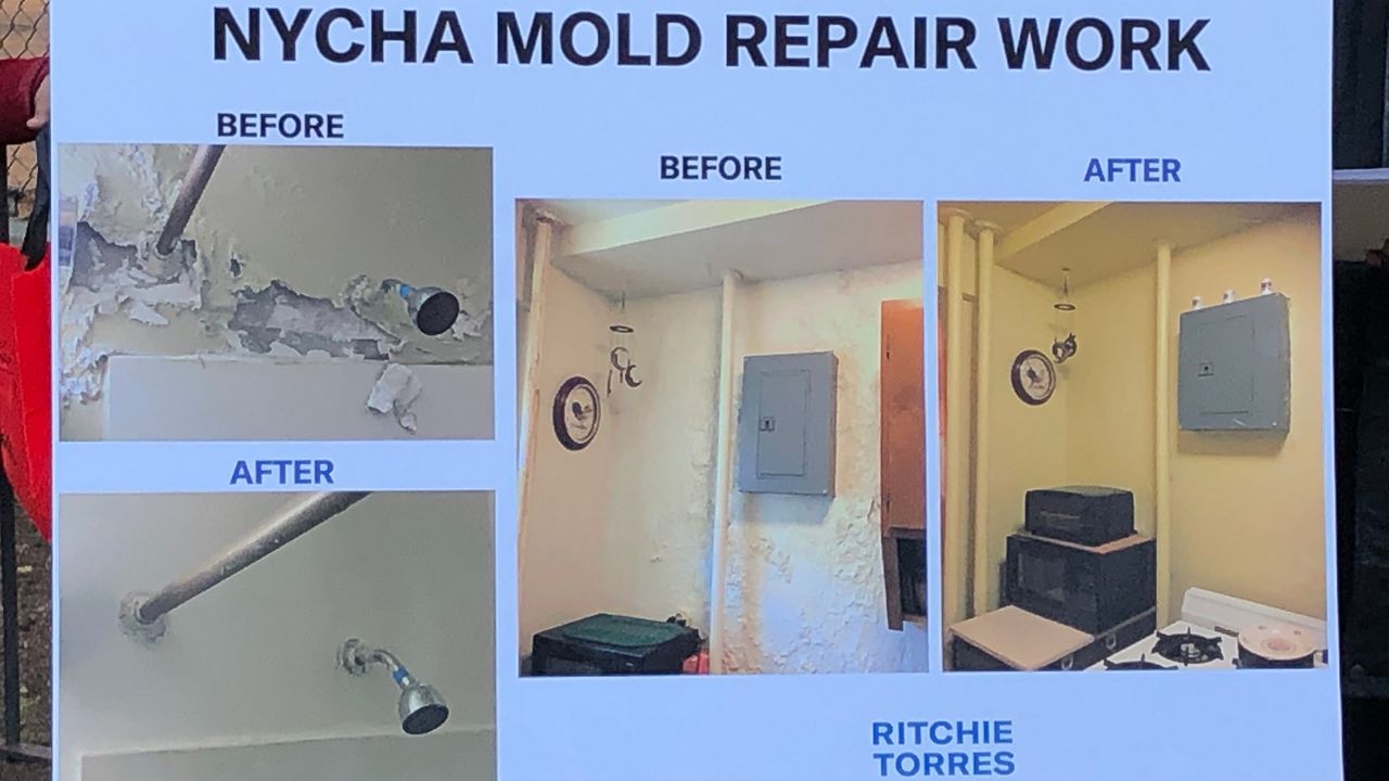 New Independent Call Center To Investigate NYCHA Mold Concerns