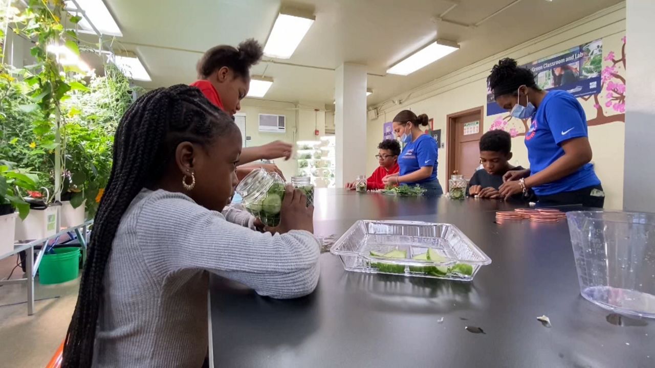 How a garden grows inside a NYCHA community center