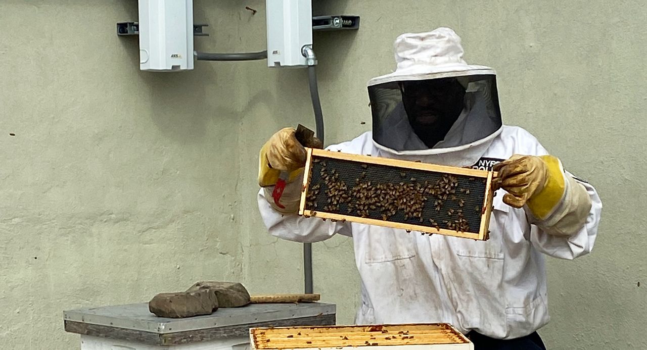 nypd beekeeper honey harvest