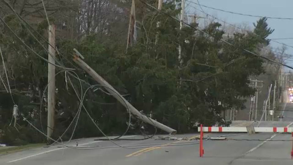 Wind Storm Resources For Rochester Area Residents