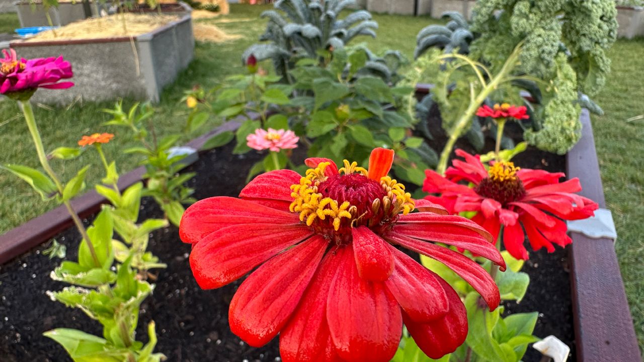 New York crops celebrated at State Fair