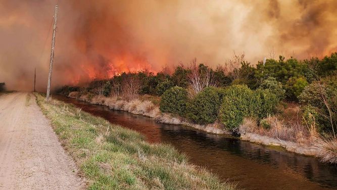 Wildfire covers 1,000 acres on North Carolina’s Outer Banks