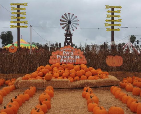 4 pumpkin patches and the weather you can expect