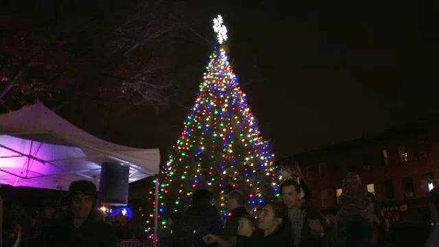 Christmas Spirit Shines Bright at Park Slope Tree Lighting