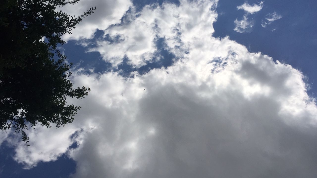 Sunshine Will Return