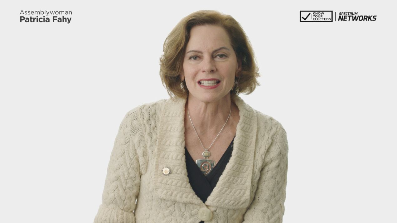 Know Your Electeds New York Assemblywoman Patricia Fahy