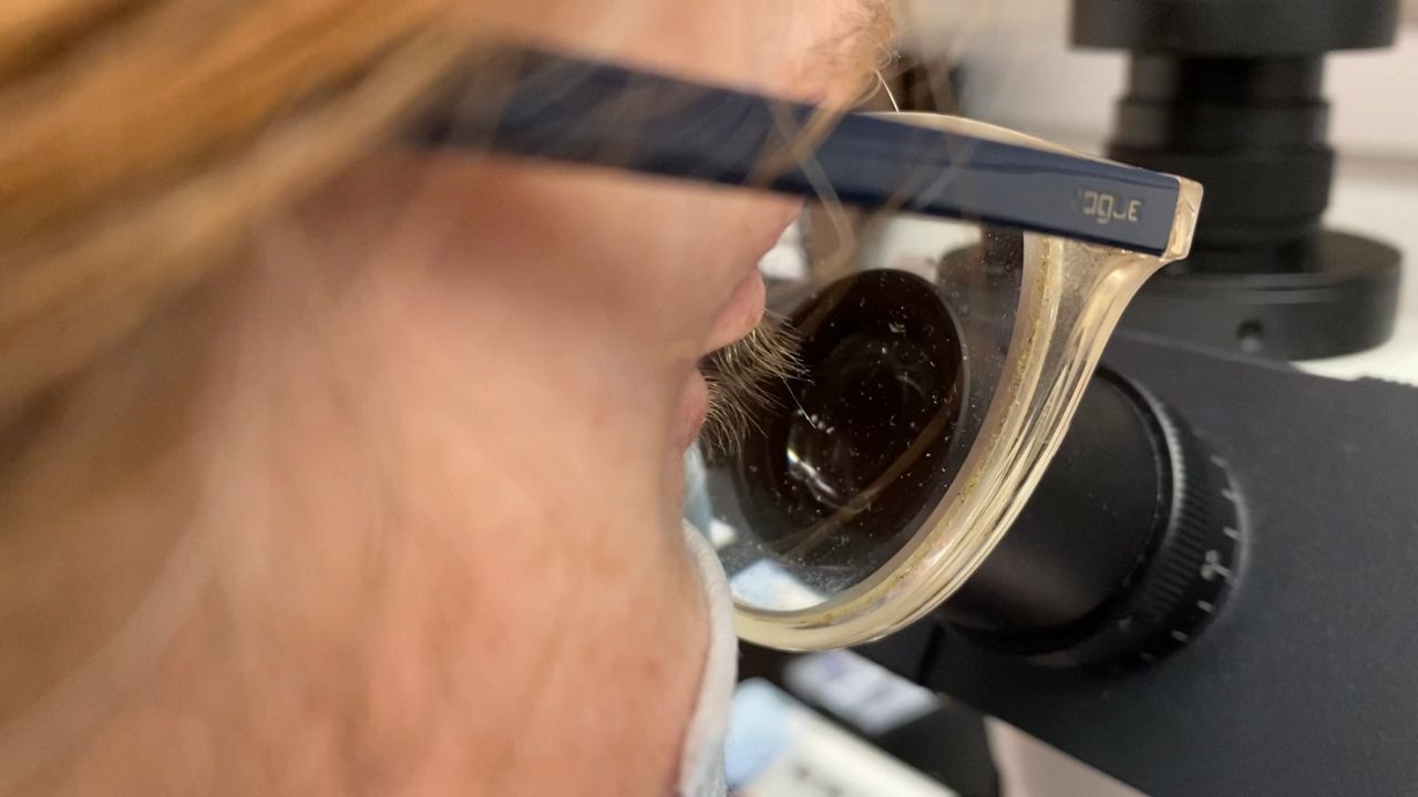 Inside EPA lab: Effects of air pollution on asthma