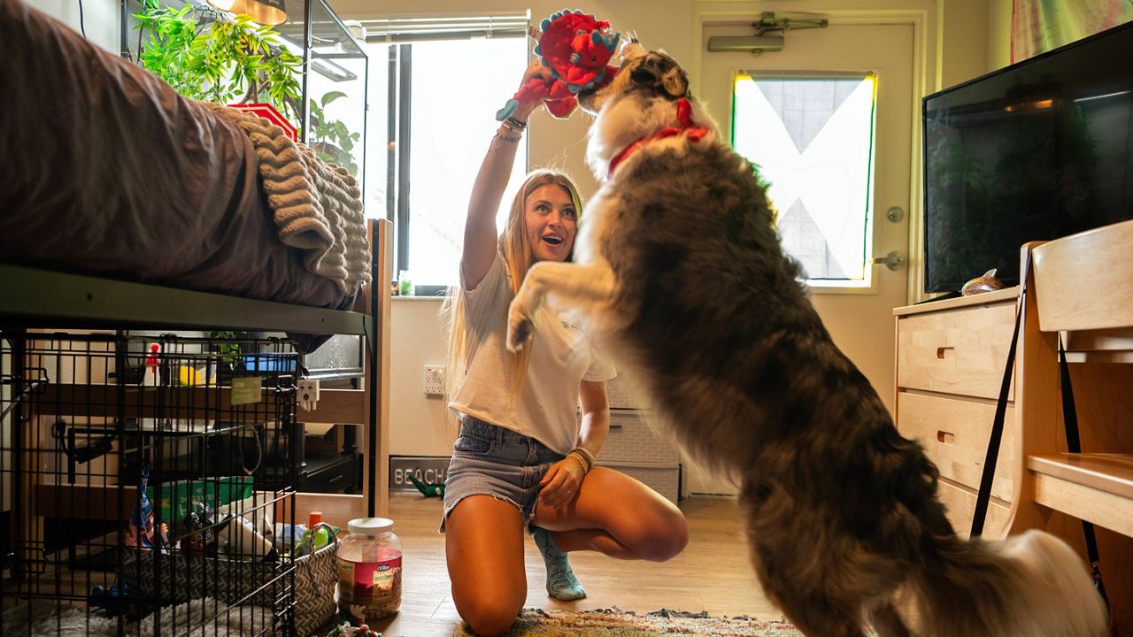 Some colleges welcoming pets in dorms