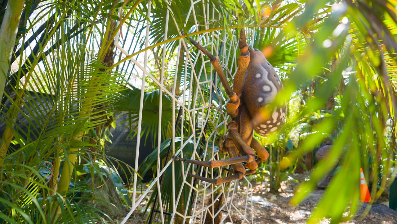 Bugtopia offers magic of super-sized learning