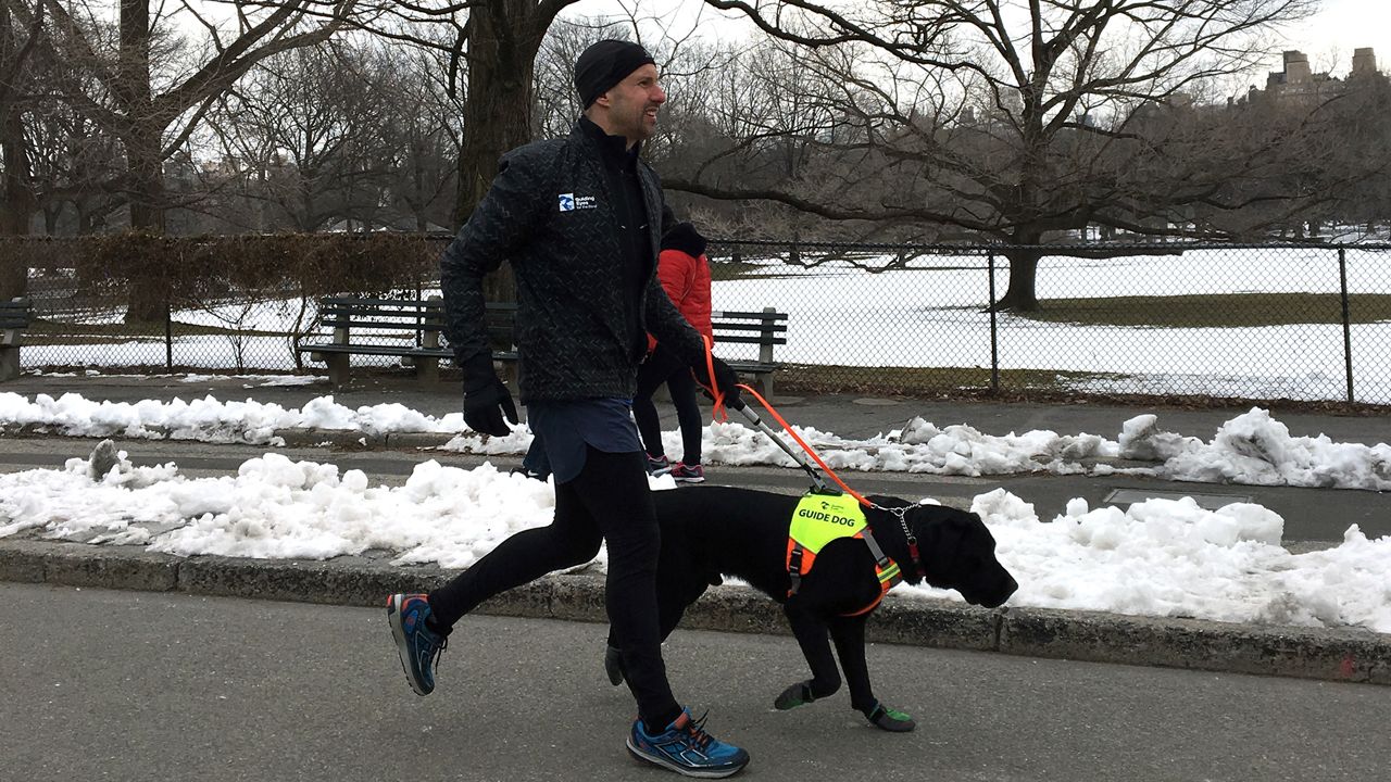 Guide Dogs to Help Blind Man Navigate the NYC Half Marathon