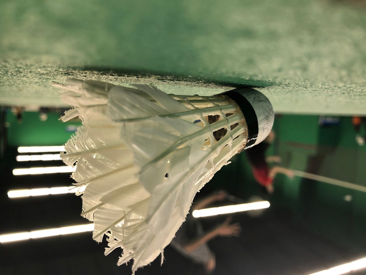 Local Gym Brings High Performance Badminton to Orlando