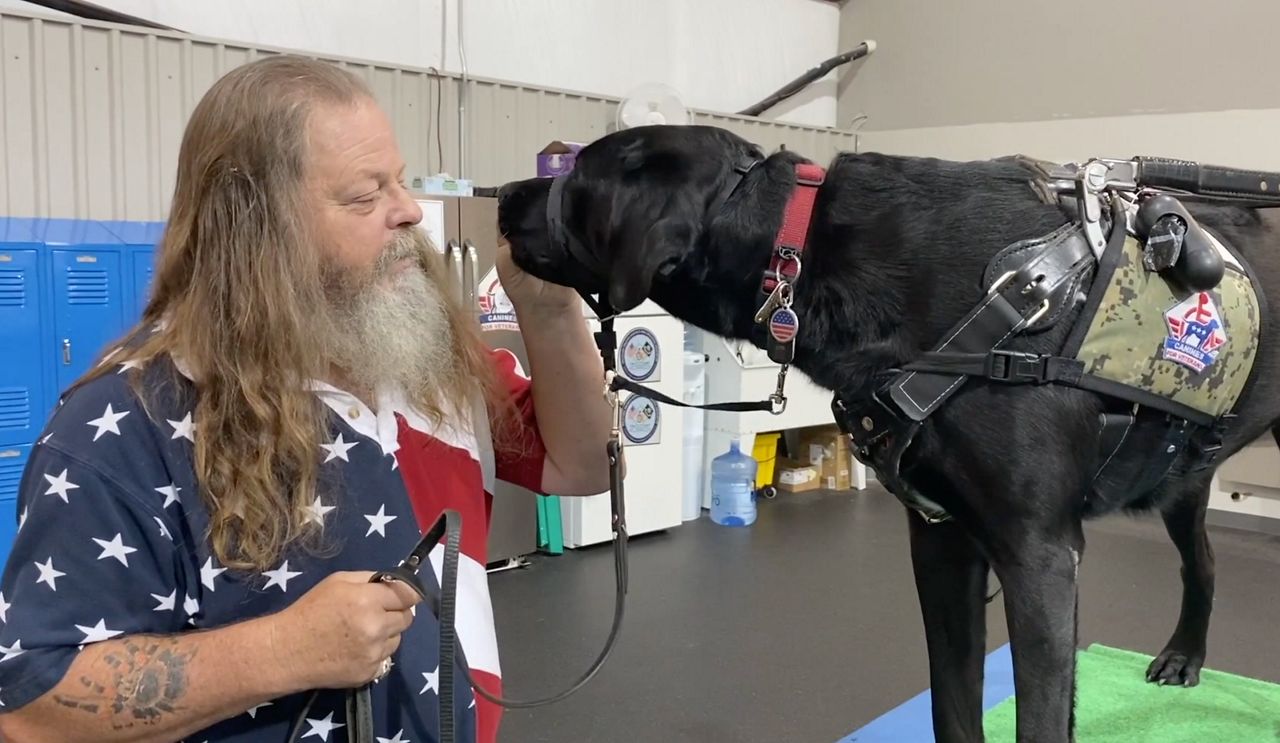 Service Dogs Help Veterans Cope