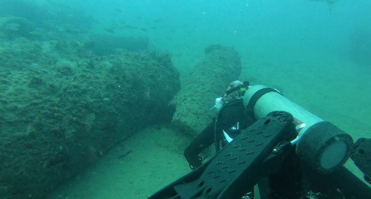 Building a reef