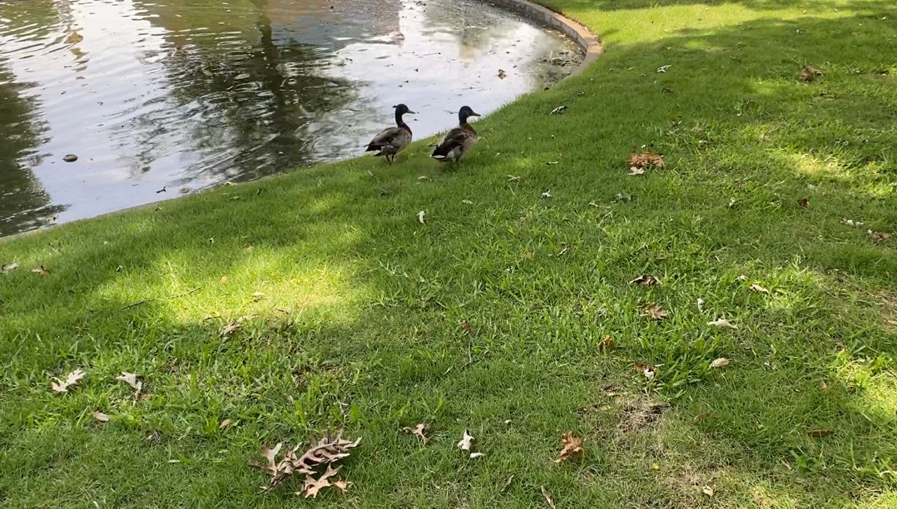 City of Plano ranked with best parks in Texas, 15th in U.S.