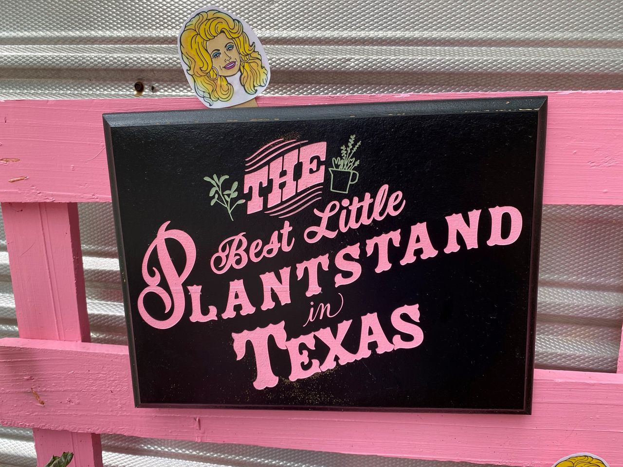 Central Texas community flowers thanks to colorful plant stand