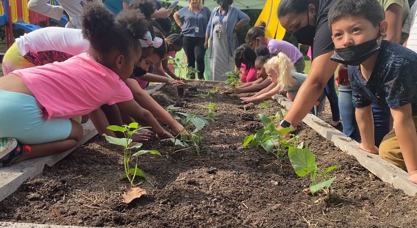 Nonprofit teaches students about growing food
