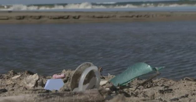 Contamination by Plastics Found in Great Lakes May Lead to Health Problems