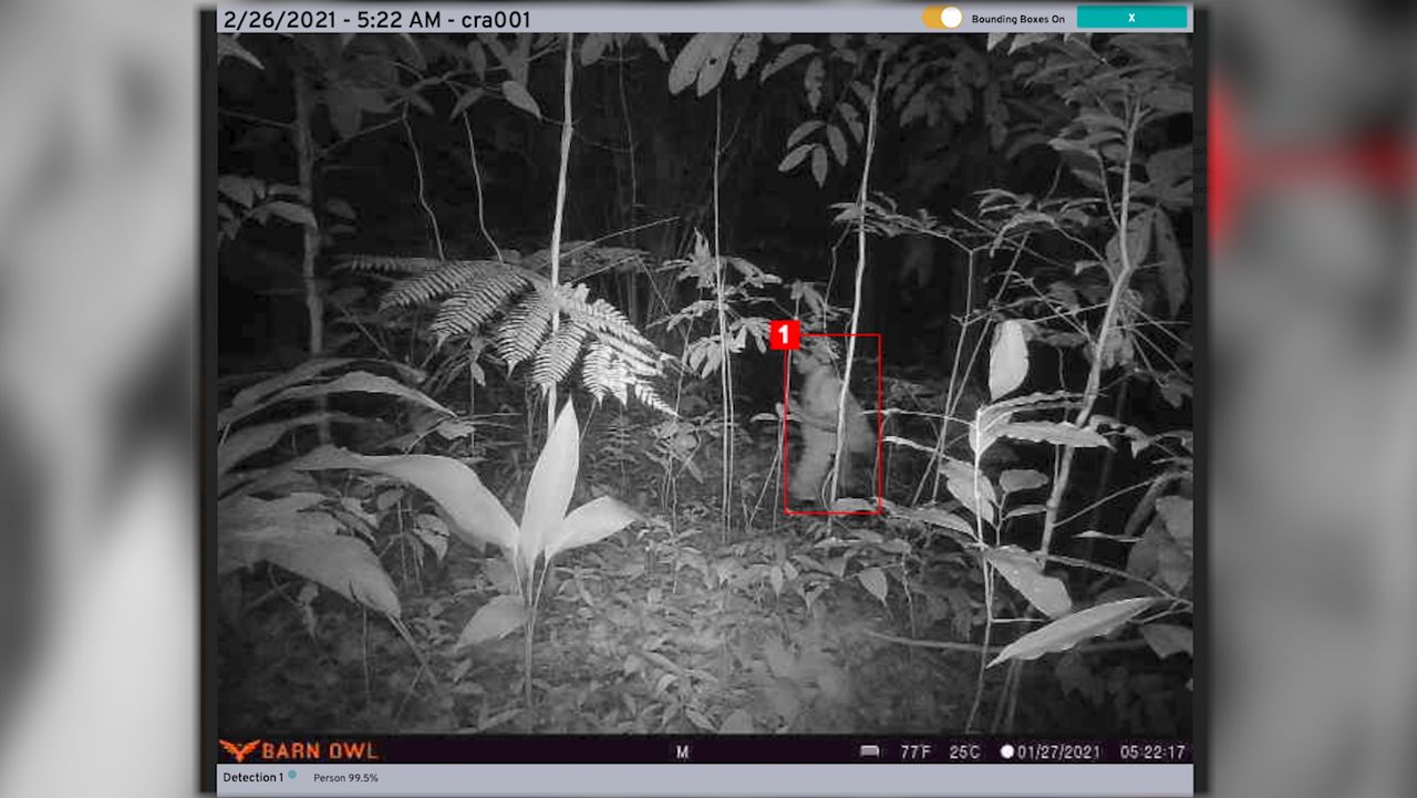 Wisconsin company on the cutting edge of AI